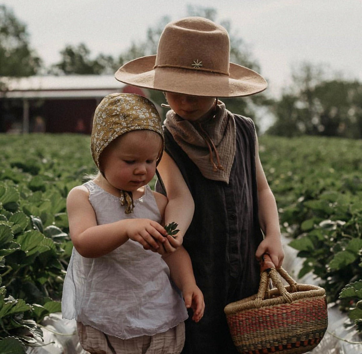 Spring Waldorf Songs for Children– Wild Creek Co